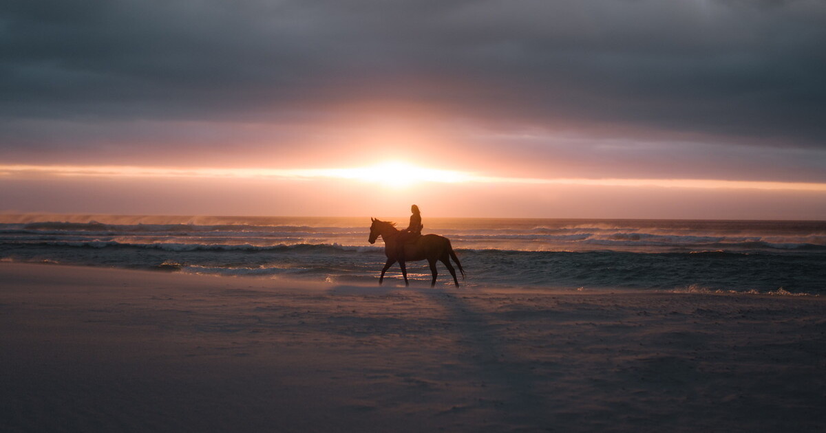 インヴィンシブルスピリット / Invincible Spirit の競走馬情報 | POG-INFO