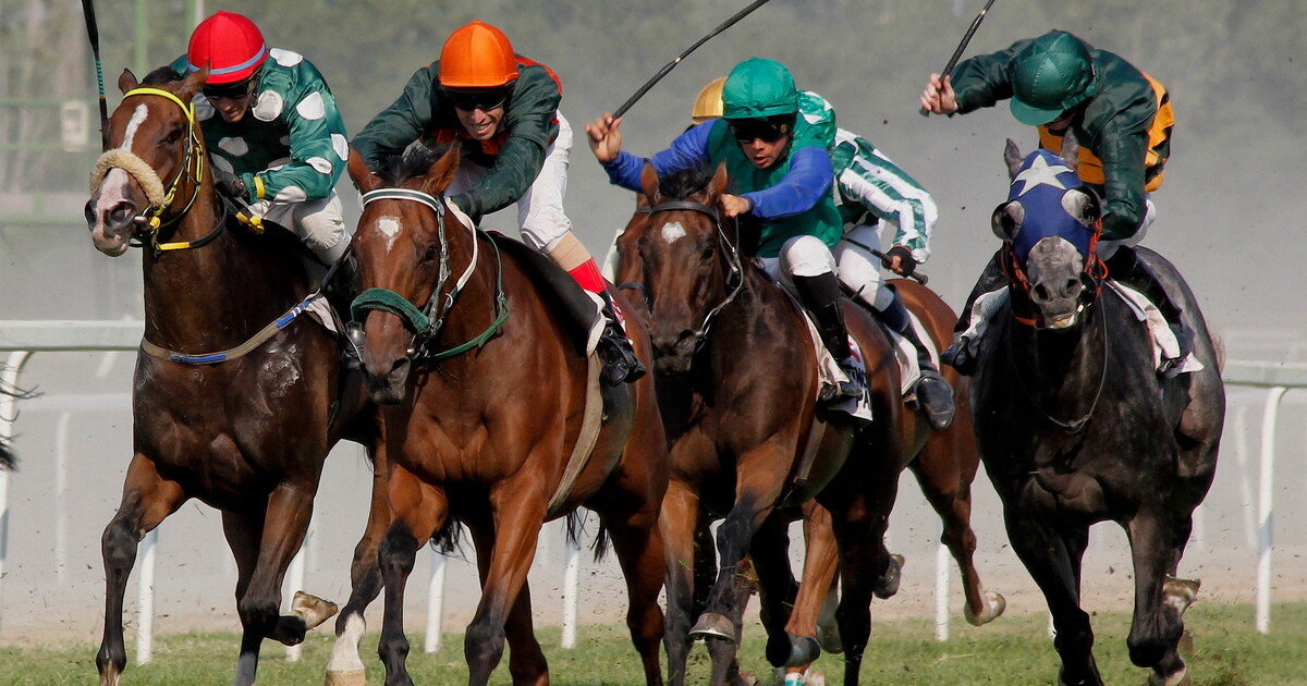 未勝利 新潟12R 2025/08/02 | レース結果/みんなの予想結果/最新ニュース | POG-INFO