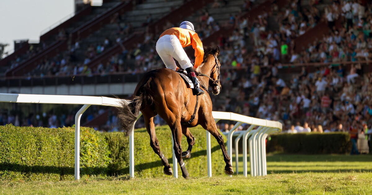 Mathis Mile(2025) | レース結果/みんなの予想結果/最新ニュース | POG-INFO